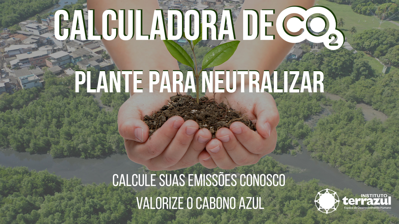 Calculadora de Carbono
